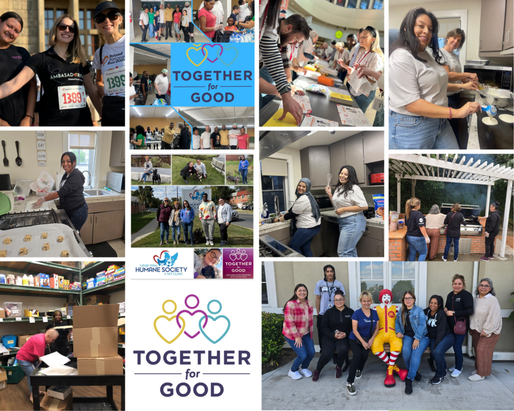 Community & Social Impact - QVC Group